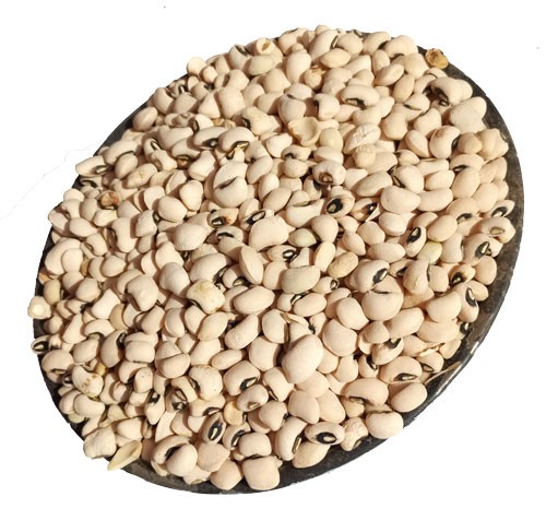 Iron Beans | SmartMarketHub